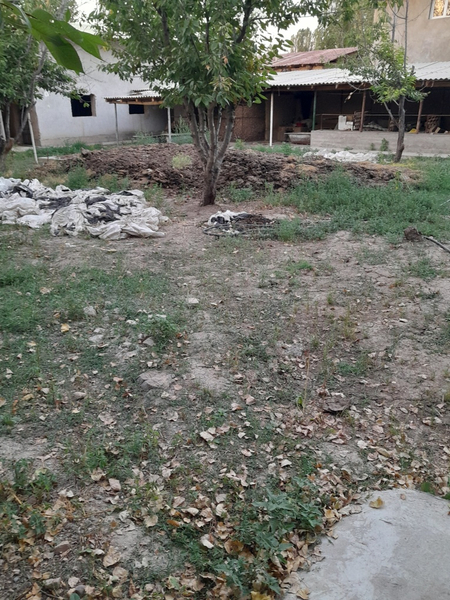 Продаётся 24 сот.евродом (янгибазар)