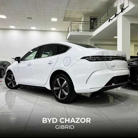 Byd Chazor Comfort Lizinga qiberamiz