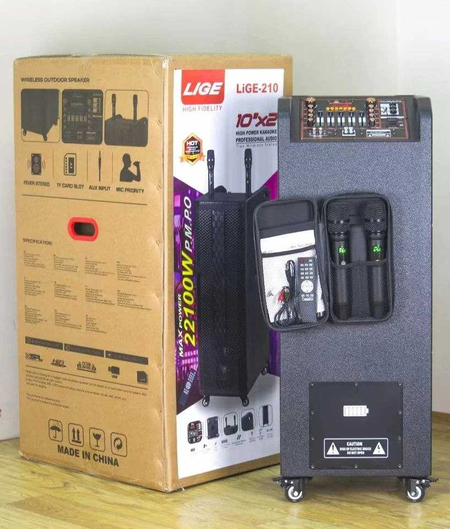 Kalonka LIGE-210 /Профессиональное караоке (1metr -200W)