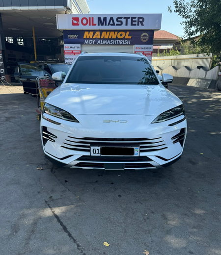 BYD song plyus chempion hybrid 2024 Arenda