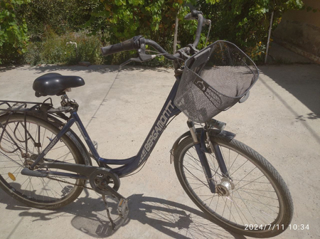 Велосипед Velosped Velik Велик