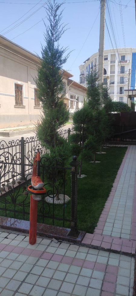 Ландшафтный дизайн