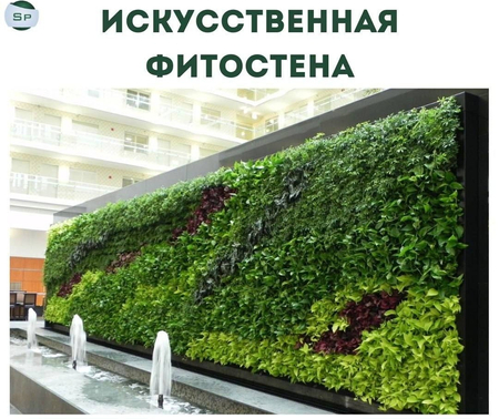 Фитостена,искусственные растения,самшит в Ташкенте