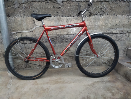Veloseped philips 26