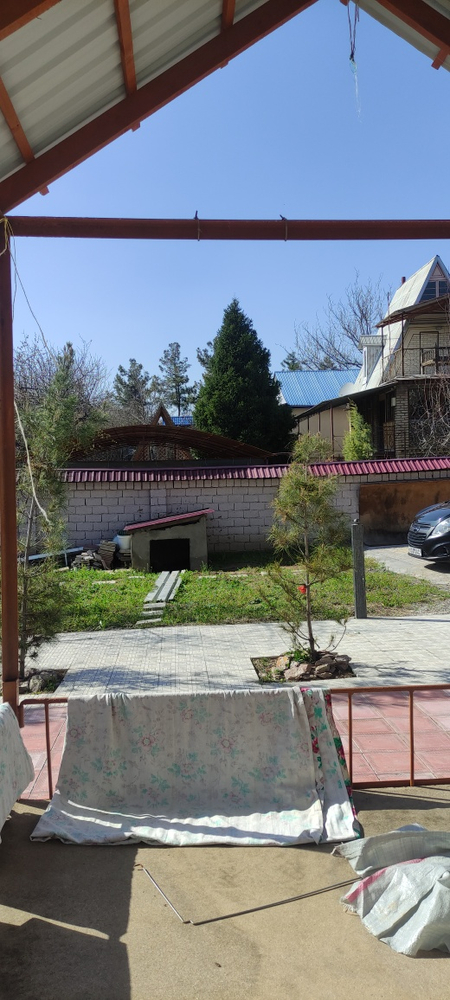 Срочно дача сотила!Паркент Навбахор! Успейте приобрести