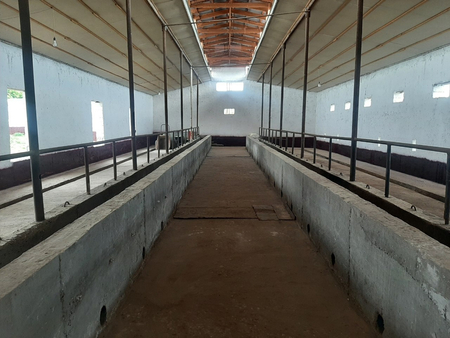Yangi yòl. Ferma sotiladi. 60 000y.e
