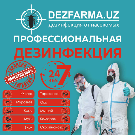 Дезинфекция/Dezinfeksiya/Дезинфекция клопов/Уничтожение клопов, блох