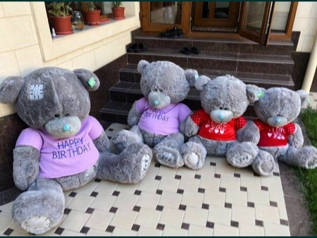 Teddy va boshqa yumshoq oʻyinchoqlar