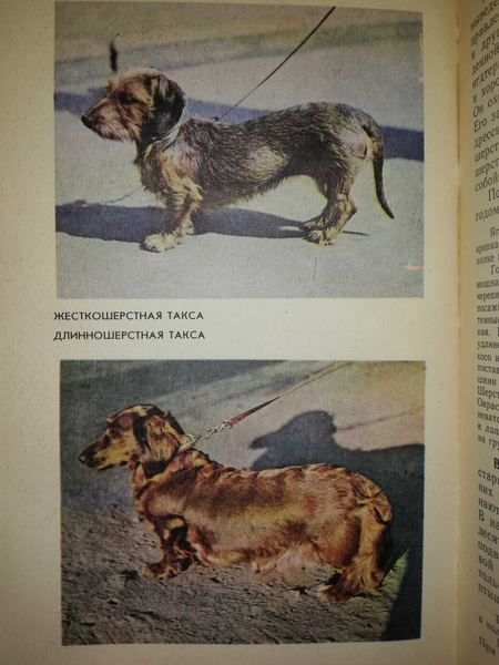 Книга ''Охотничье Собаководство''