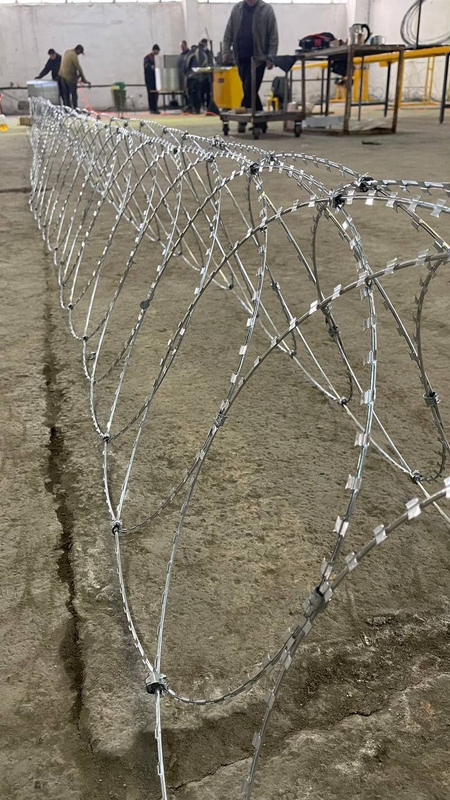 ЕГОЗА колючая проволка первые руки