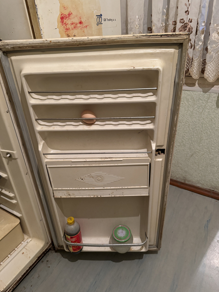 Холодильник Оазис 2