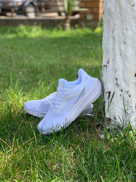 Nike Zoom pegasus 39