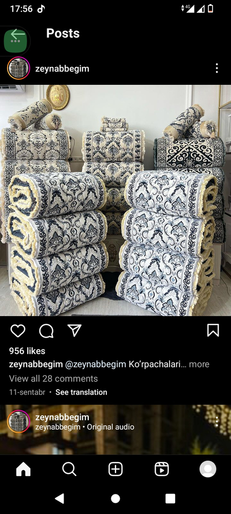 Kurpa tushak,quroqlar