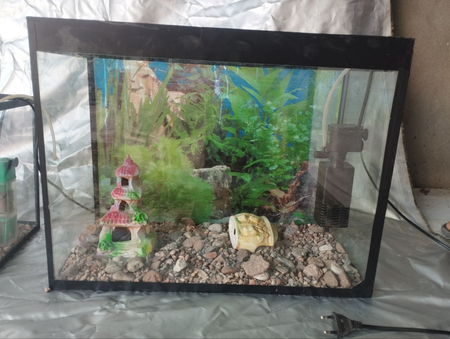 Akvariumlar filtirlari bilan tez VA arzon