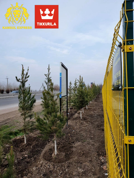 5D Еврозабор Евросетка,  под ключ!