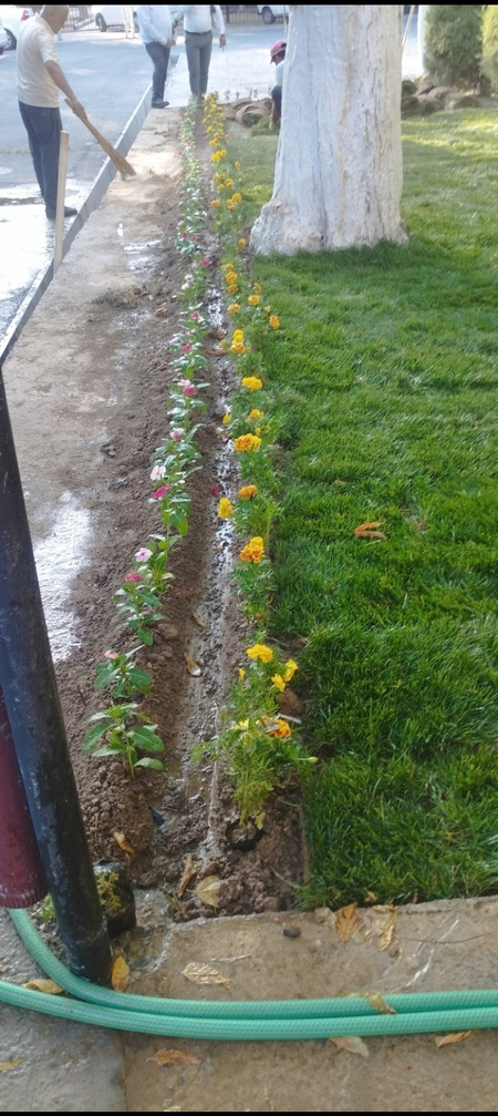 zof agro services