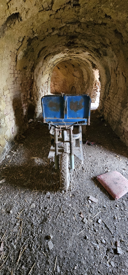Traktir. Matarul gʻisht tashiydigan