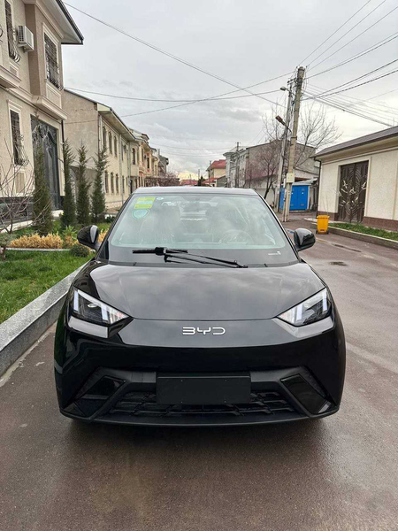 Byd seagull 405 km halol nasiyaga bolib tolashga