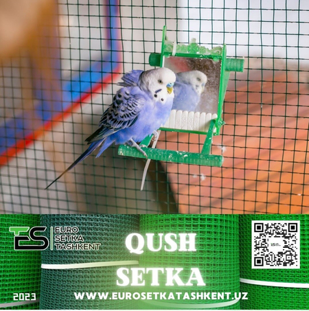 Qushlar uchun qush setka rulon setka yevrozabor evrozabor evro setka