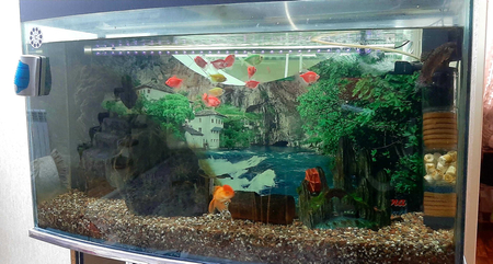 Aquarium 150lt for sale / Akvarium 150 lt sotiladi