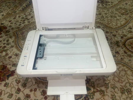 CANON MG2555 printer