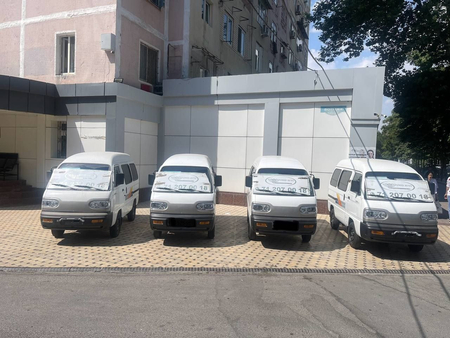 Nalichi DAMAS DELUX  tayyor minib ketasiz