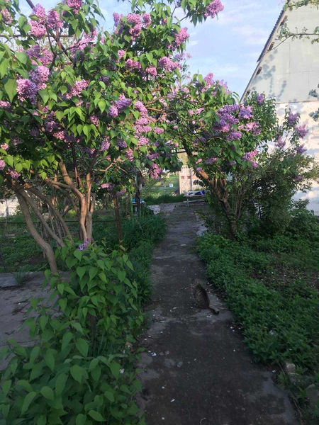 Дачный участок. ЧИРЧИК, Аранча, Военный Городок