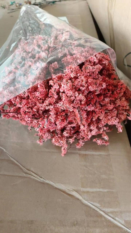 xitoy gulli bakal trenddagi