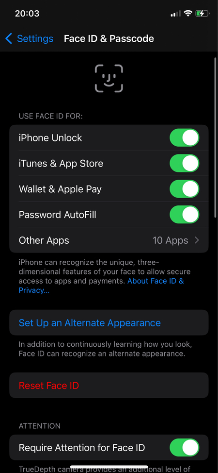 Iphone xs hamma joyi orginal
