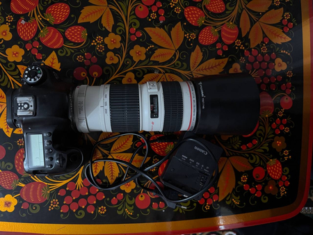 Canon 6D объектив 70 - 200