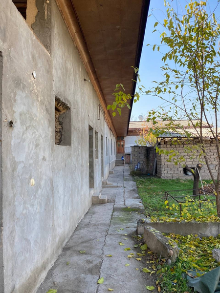 Toshkent tumani arintir Qoplonbek tamijniy