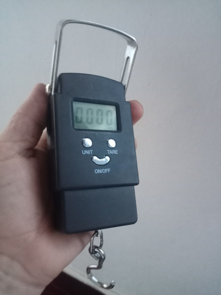 Elektron (osma) tarozi