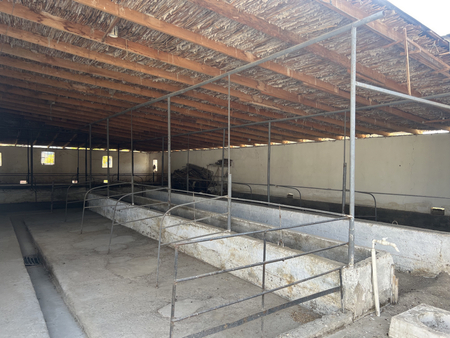 Mol Ferma sotiladi Srocno 60.000$