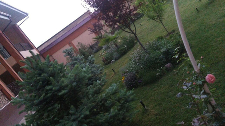 Arenda Dormon hovli 10 sotih 6 hona 2000 y.e