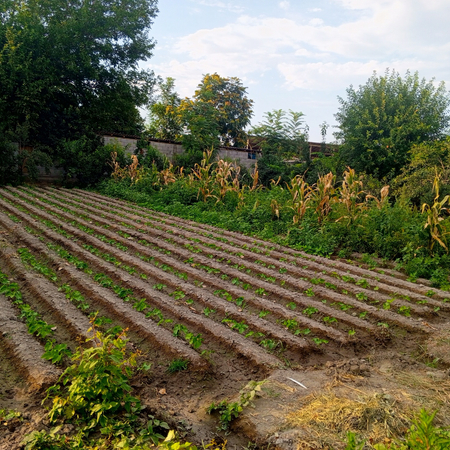 Fargona shahar yormozor sharshara MFY terakzor kochasi