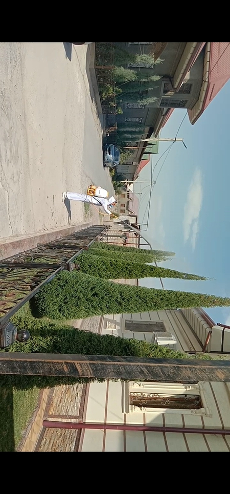 Archa qirqish  , dorilash , gazon va lanshaft xizmatlarimz bor