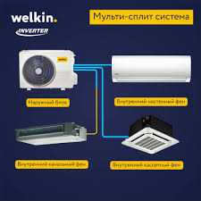 Welkin 