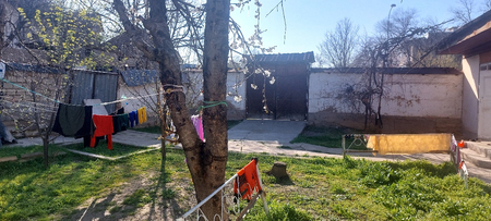 Őgʻil bollar kerak sherikchilikga