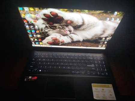 Asus Vivobook Go14/15 180°