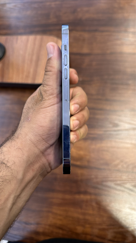 Iphone 13 pro max 128.  81%
