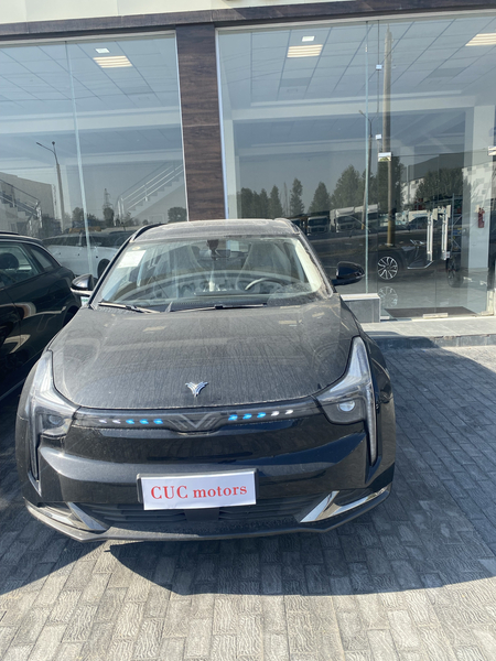 Neta Yu Pro 401 km