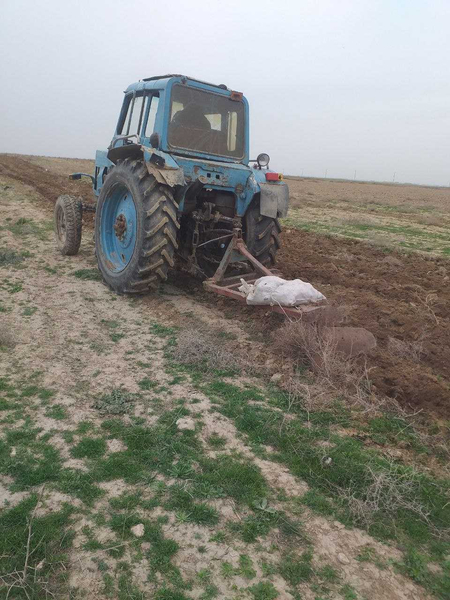 Traktor MTZ80  pilikli