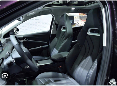 Neta U Pro luxury 400