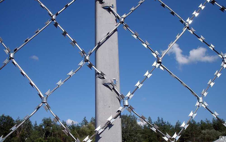 Egoza   Igoza tikanli sim