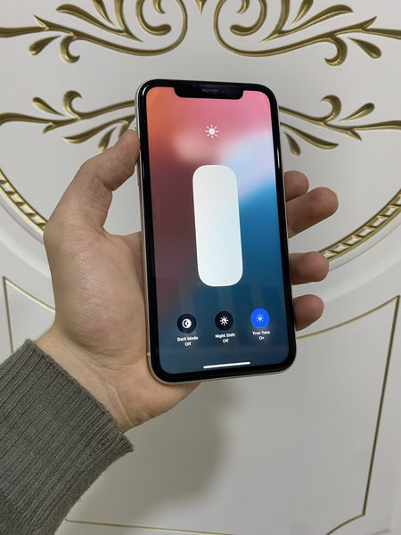 Iphone 11 ideal rodnoy