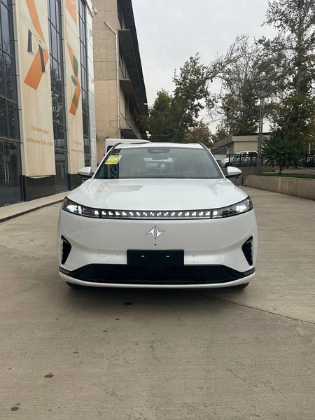 Dongfeng 008 200Max Extended Range