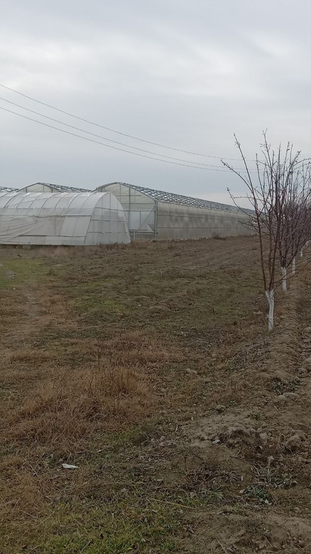 Замонавий Иссик хона