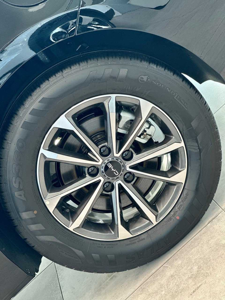 BYD CHAZOR 55 km Active Официальный Дилер