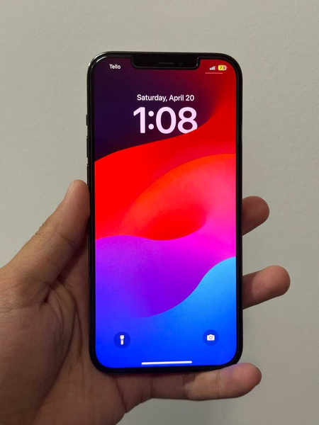 iPhone 12 Pro Max 256Gb LL/A Graphite