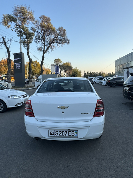 2019 mehanika kraska toza
